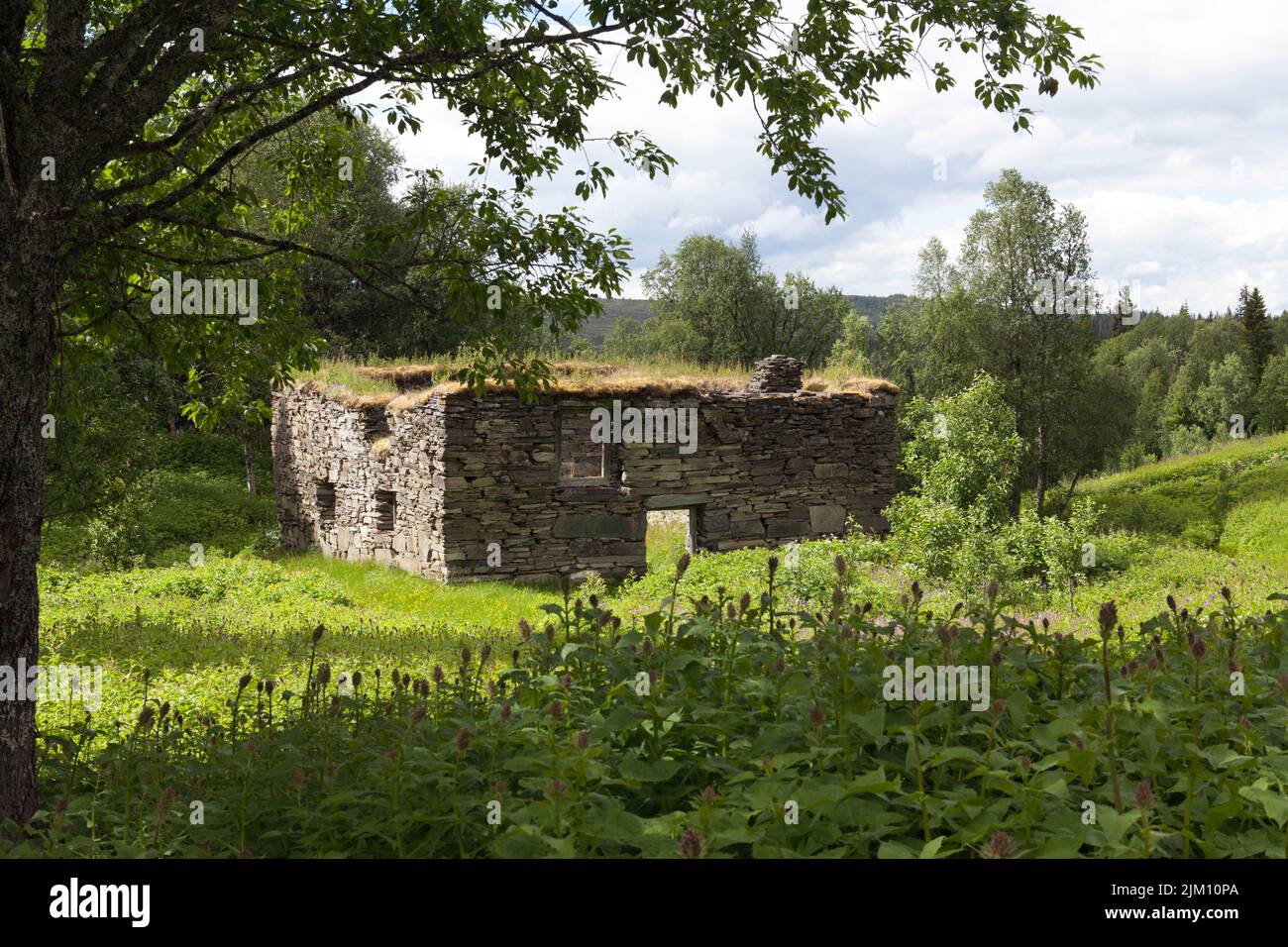Old abandoned buildings, slate stones in rural area. Meadows, plants ...