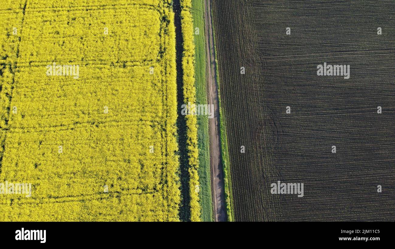 0091 hi-res stock photography and images - Alamy