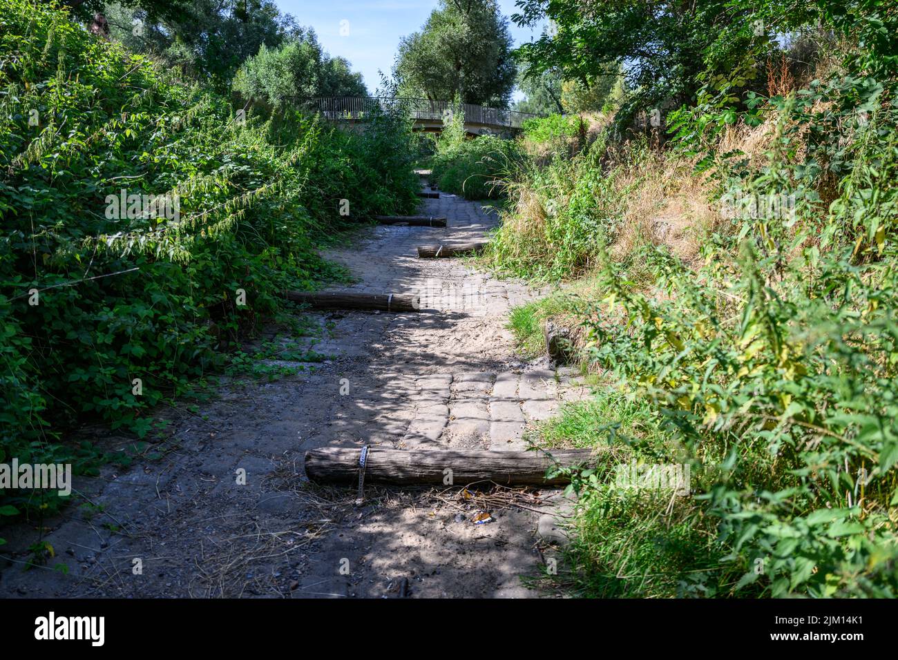 Dresden, Germany. 04th Aug, 2022. The riverbed of the Prießnitz at the ...
