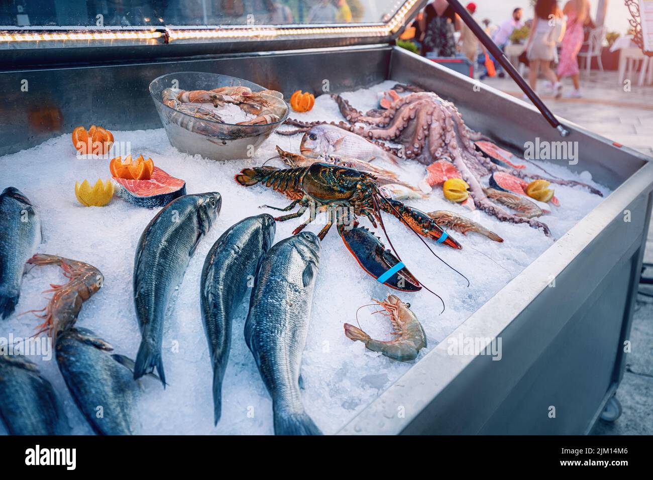 assortment of fresh fish and seafood for sale on display with ice ...