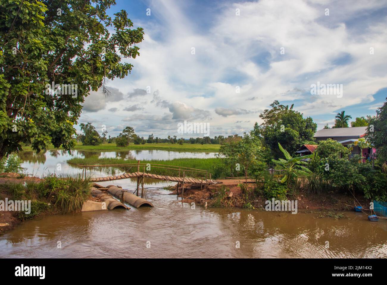 A beautiful landscape with rice fields and trees somewhere in Isaan in ...