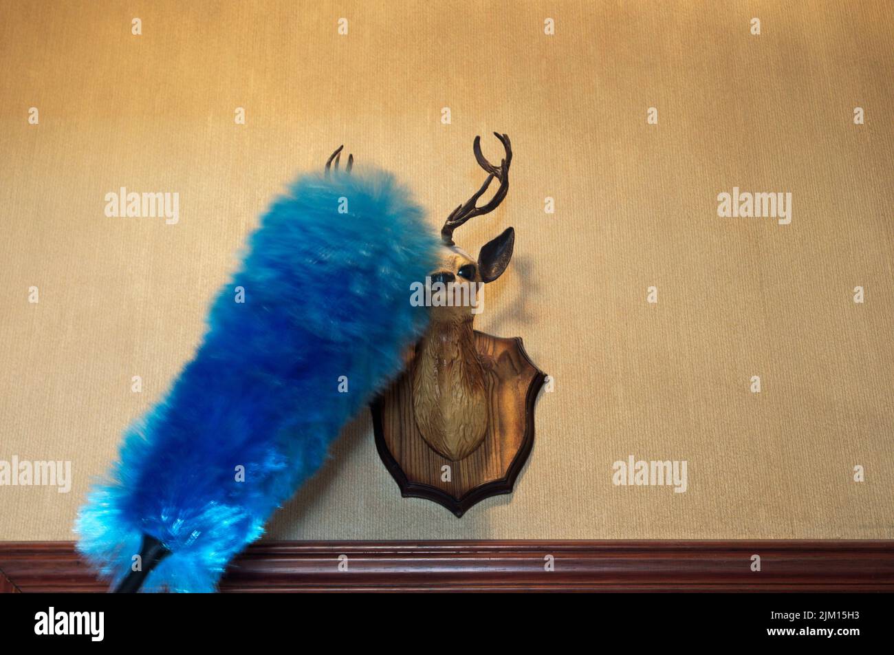 Stag head hi-res stock photography and images - Alamy