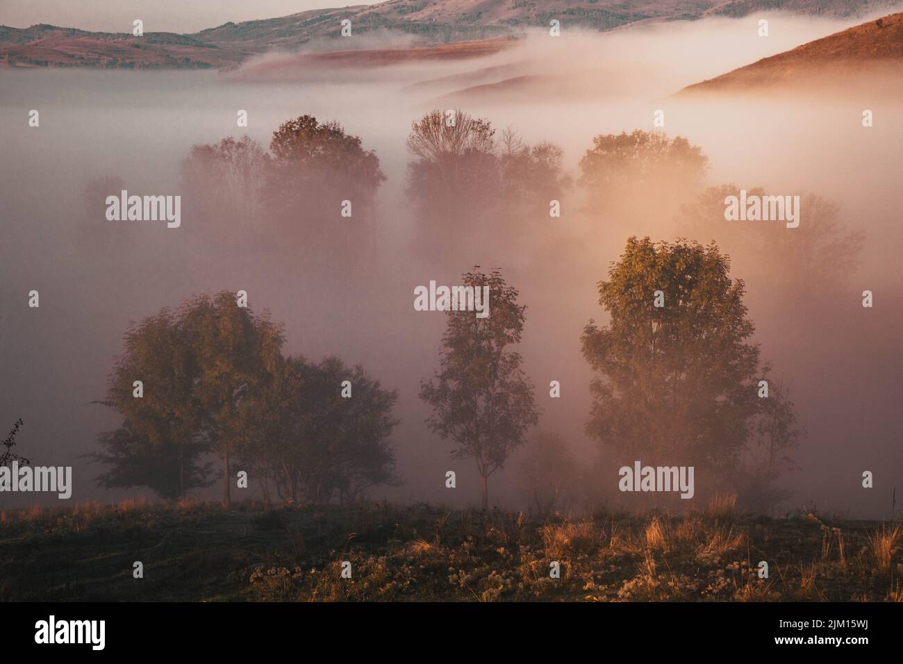 beautiful foggy autumn morning landscape in rural Transylvania Stock ...