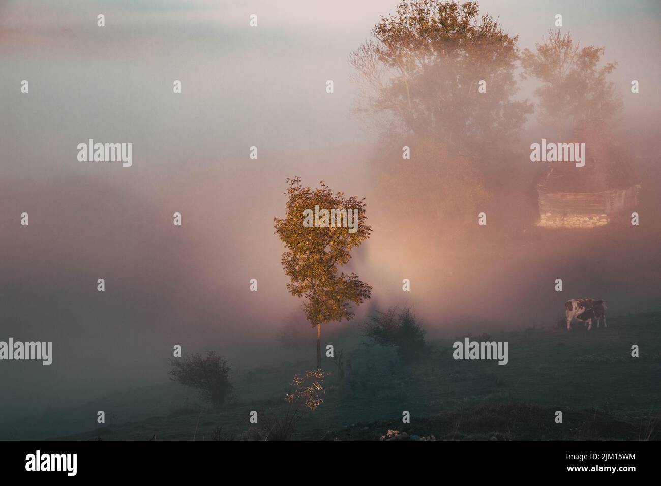 beautiful foggy autumn morning landscape in rural Transylvania Stock ...