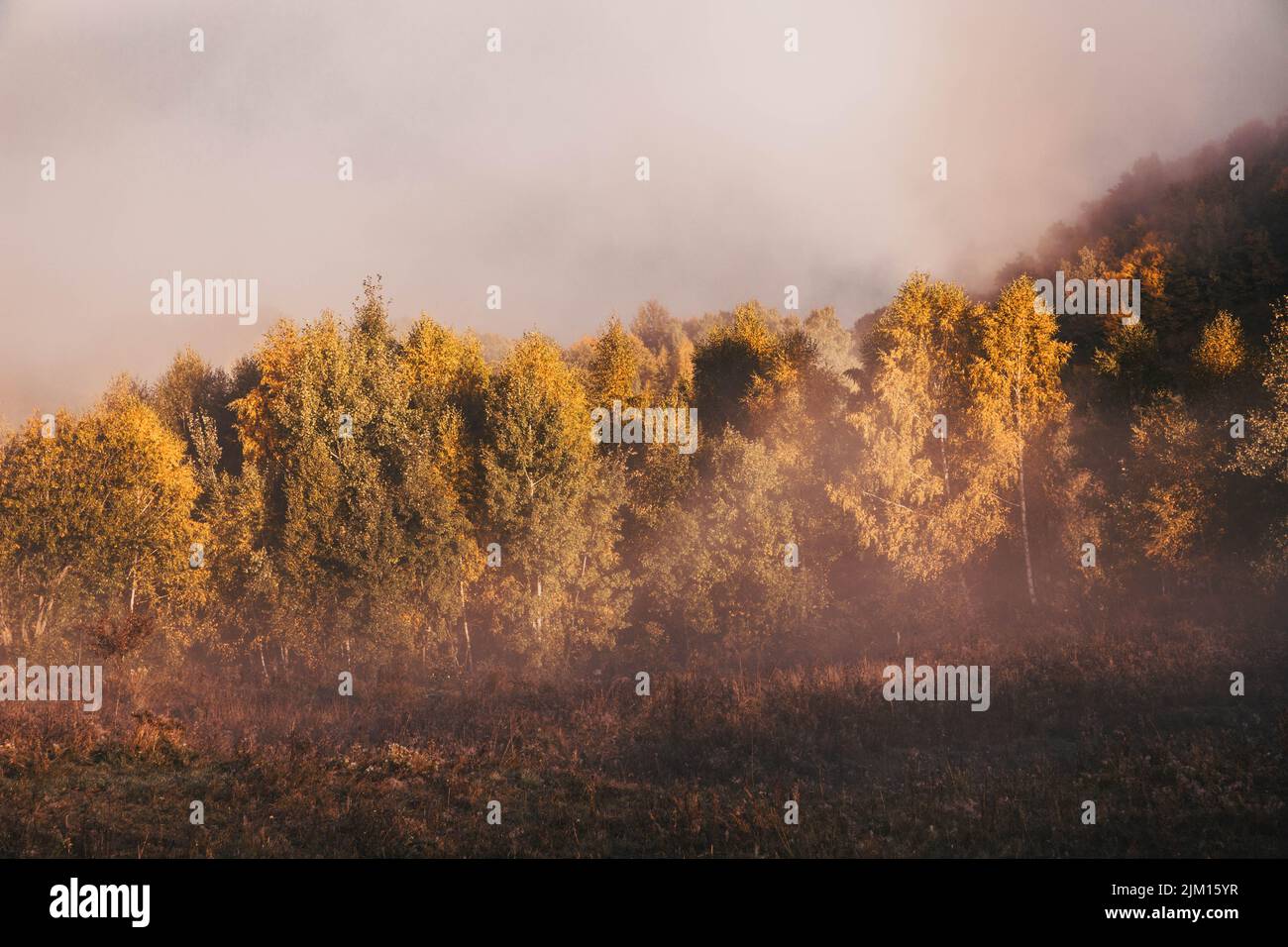 beautiful foggy autumn morning landscape in rural Transylvania Stock Photo - Alamy