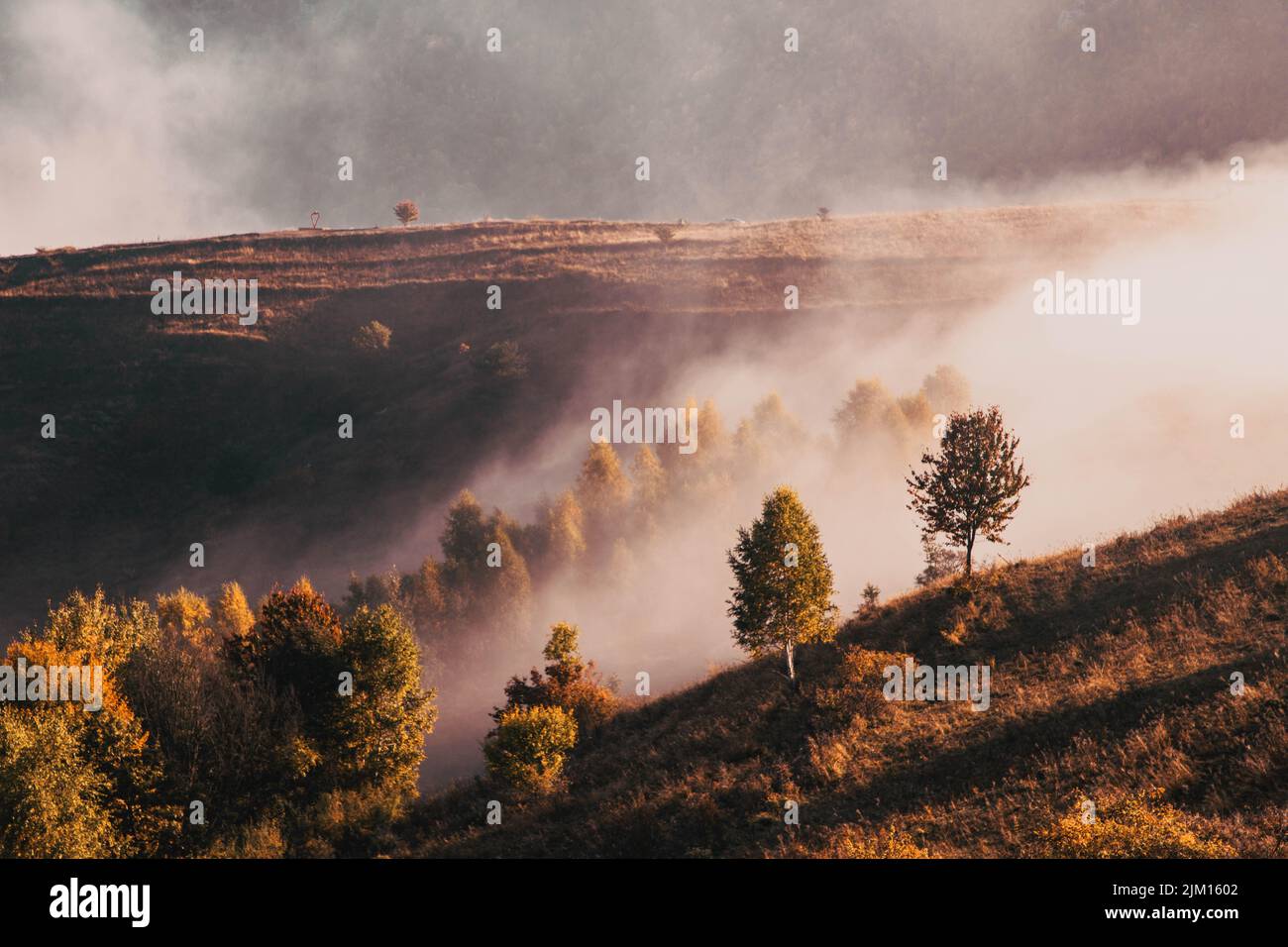 beautiful foggy autumn morning landscape in rural Transylvania Stock Photo - Alamy