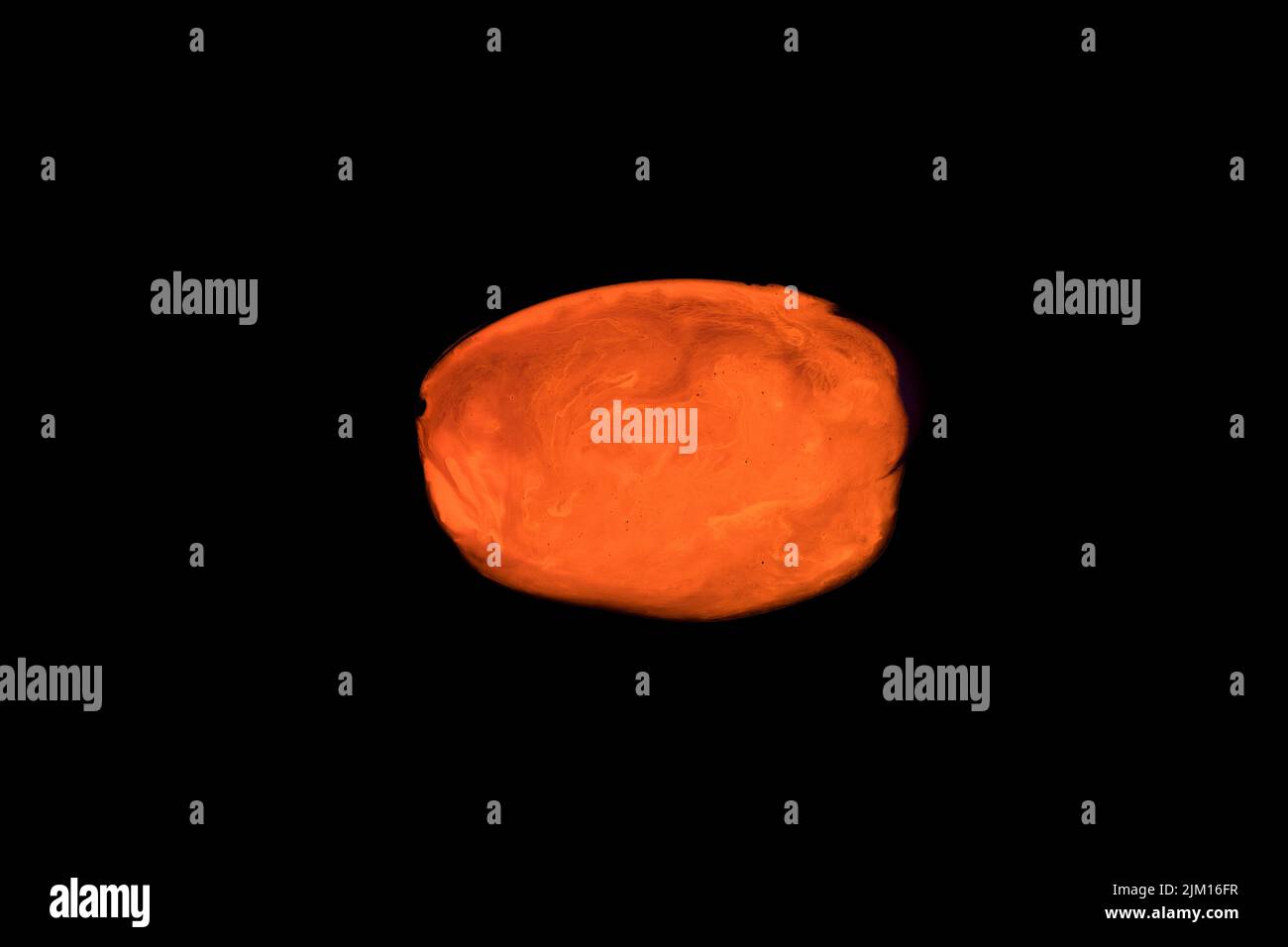 Neon orange wet paint splatter on black isolated background. Creative ...