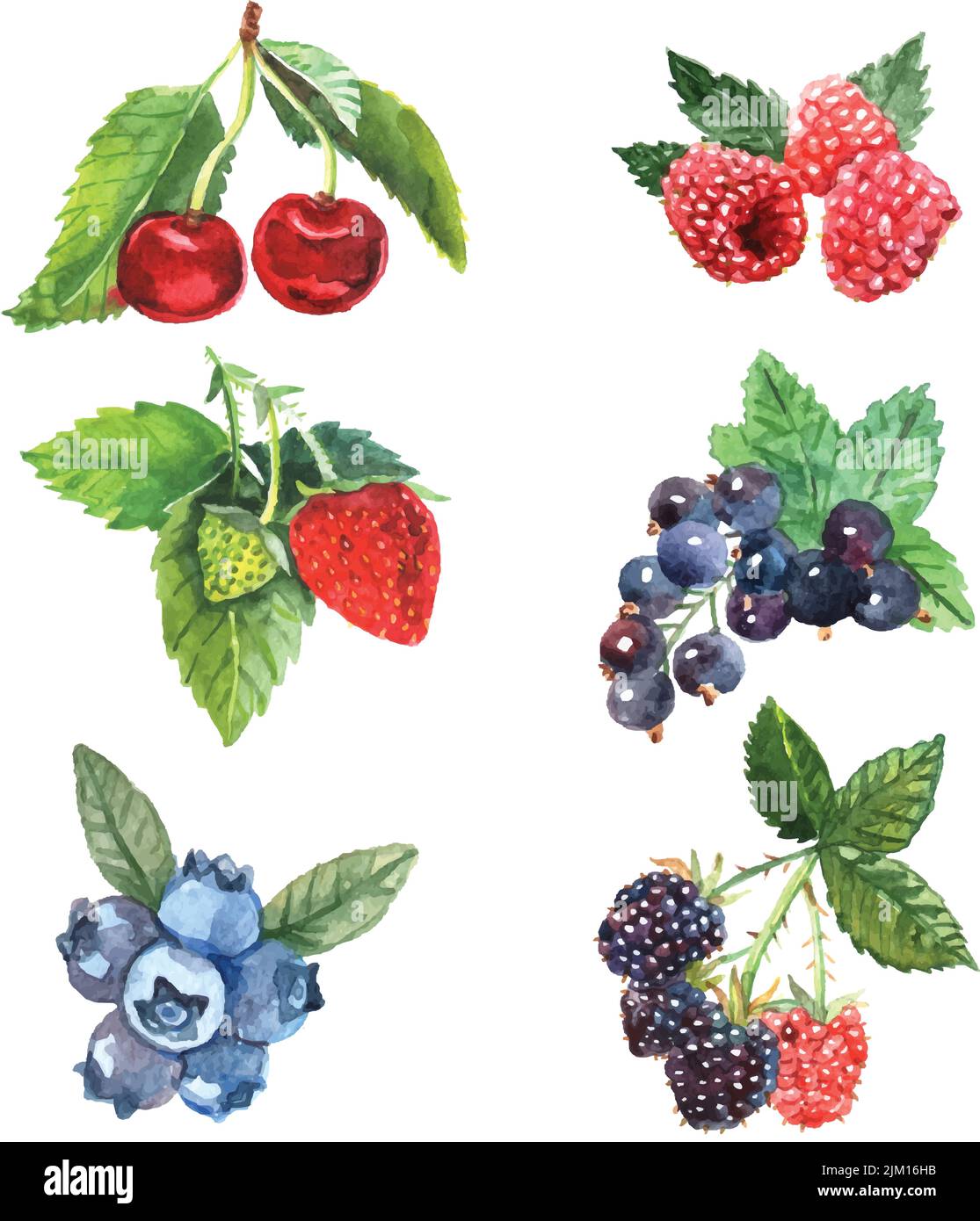 Watercolor berry set with cherry raspberry strawberry isolated vector ...