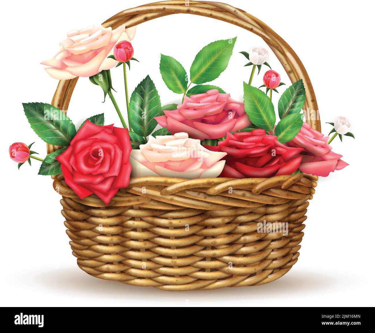Special occasions vector vectors hi-res stock photography and images ...