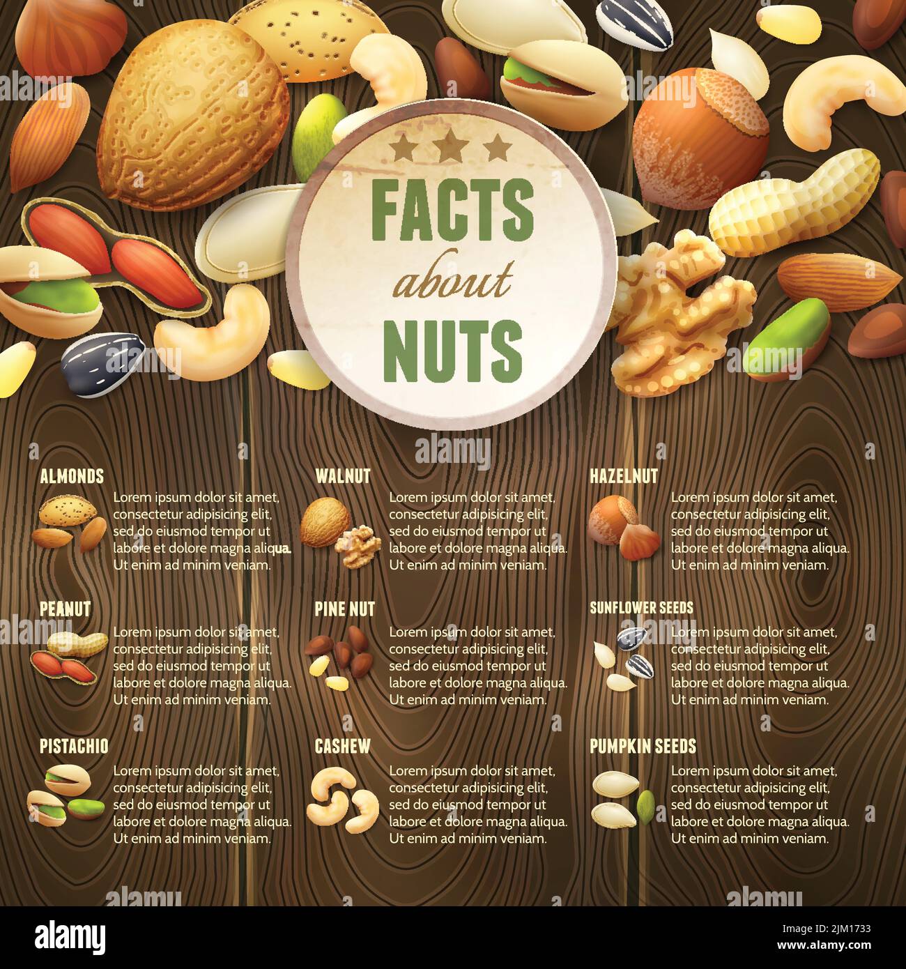 Natural raw nuts food mix on wooden background vector illustration ...