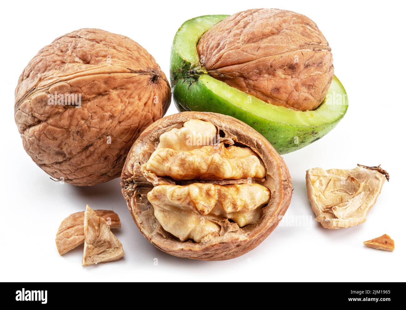 Fresh walnut in green husk, walnut and kernel isolated on white ...