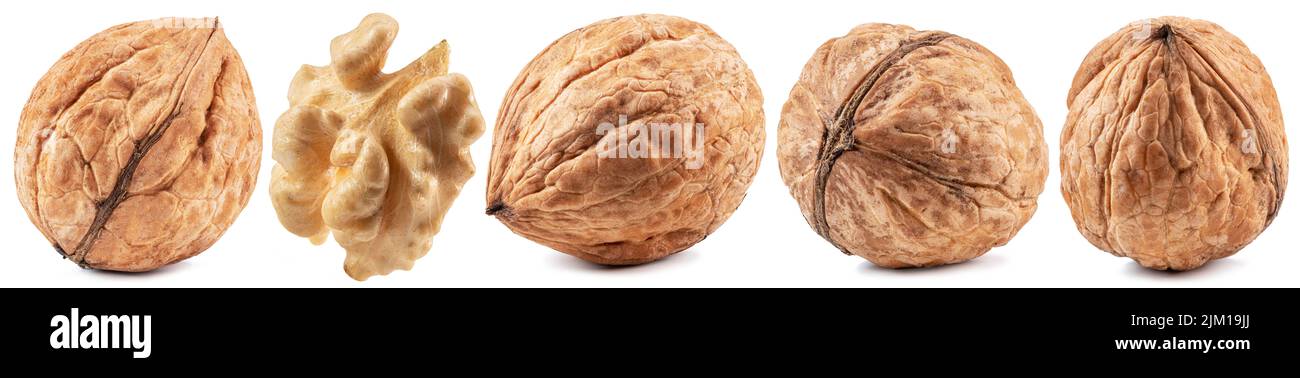 Set of whole walnuts, walnut kernel and isolated on white background ...