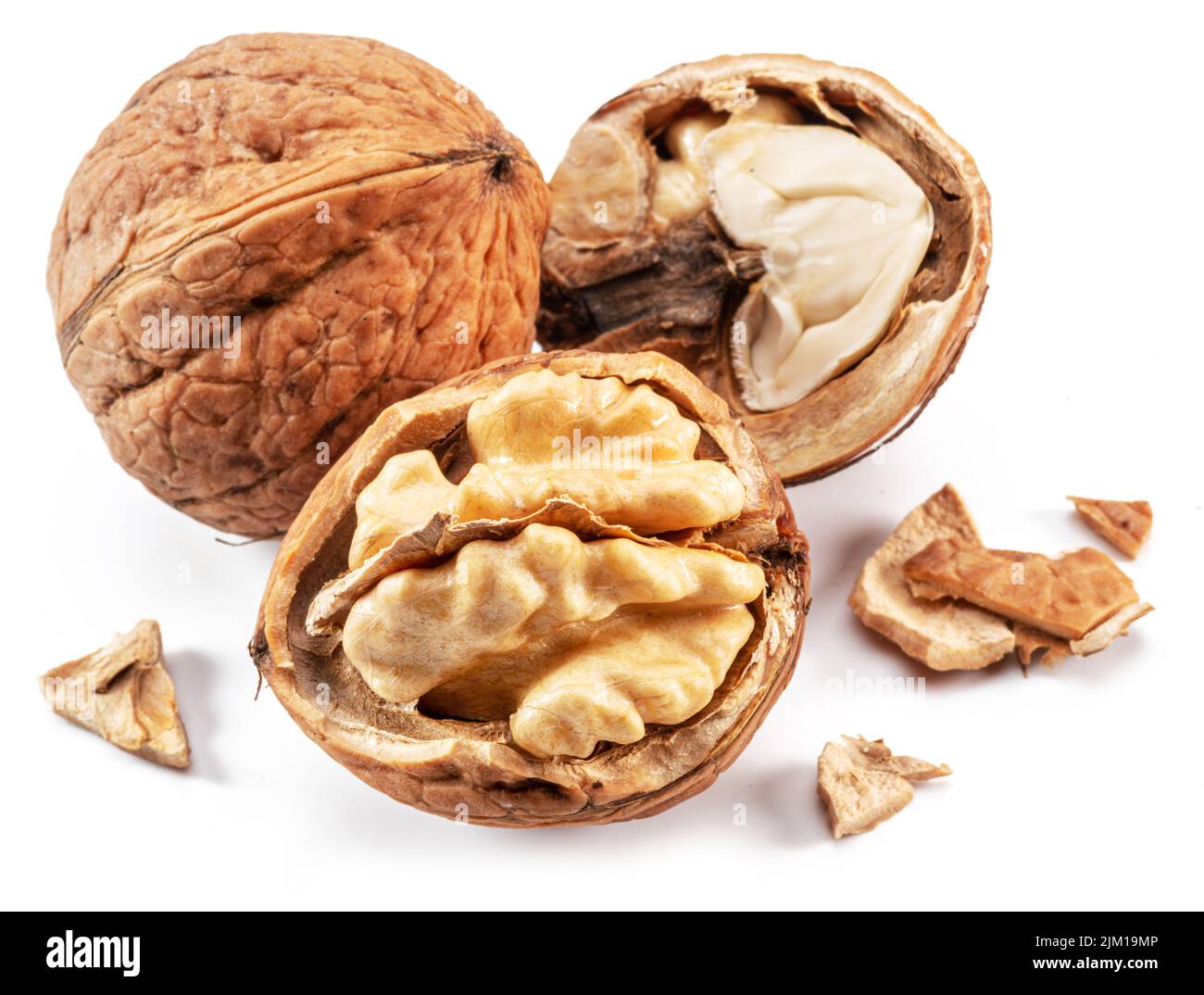 Walnuts and opened walnut with isolated on white background Stock Photo ...