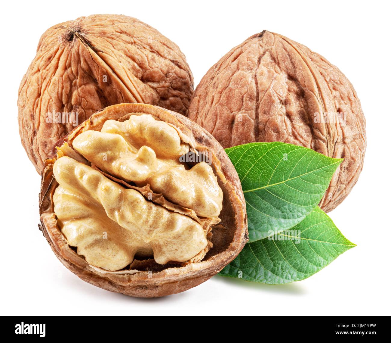 Walnuts, walnut kernel and green leaves isolated on white background ...