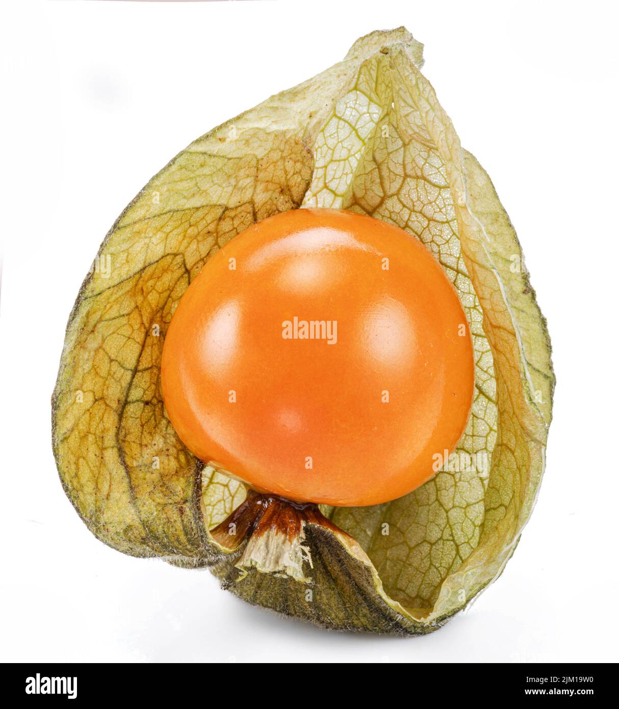 Fruit calyx hi-res stock photography and images - Alamy