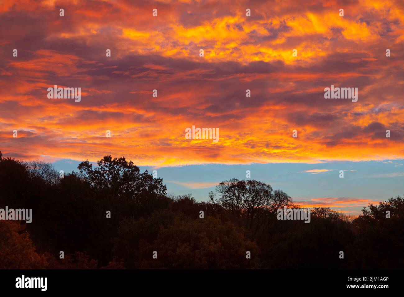Warm colours hi-res stock photography and images - Alamy
