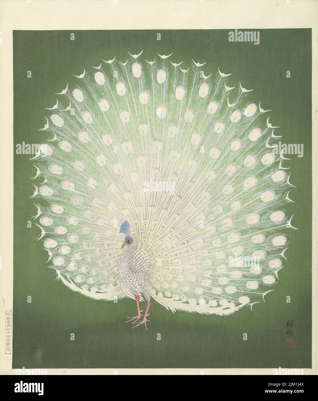 Peacock. Museum: PRIVATE COLLECTION. Author: OHARA KOSON Stock Photo ...