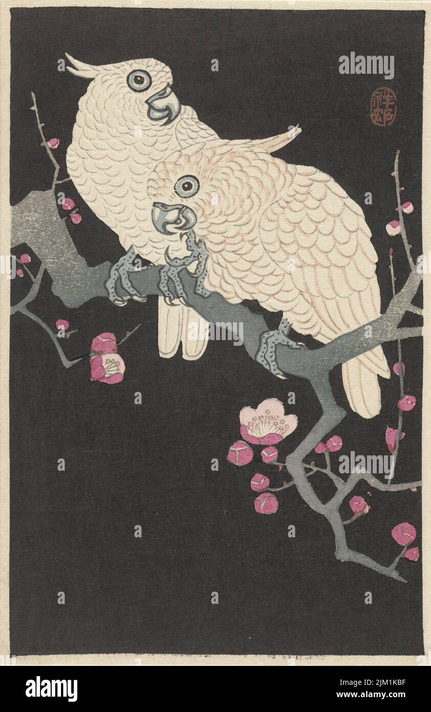 Two cockatoos on branch with plum blossom. Museum: PRIVATE COLLECTION ...