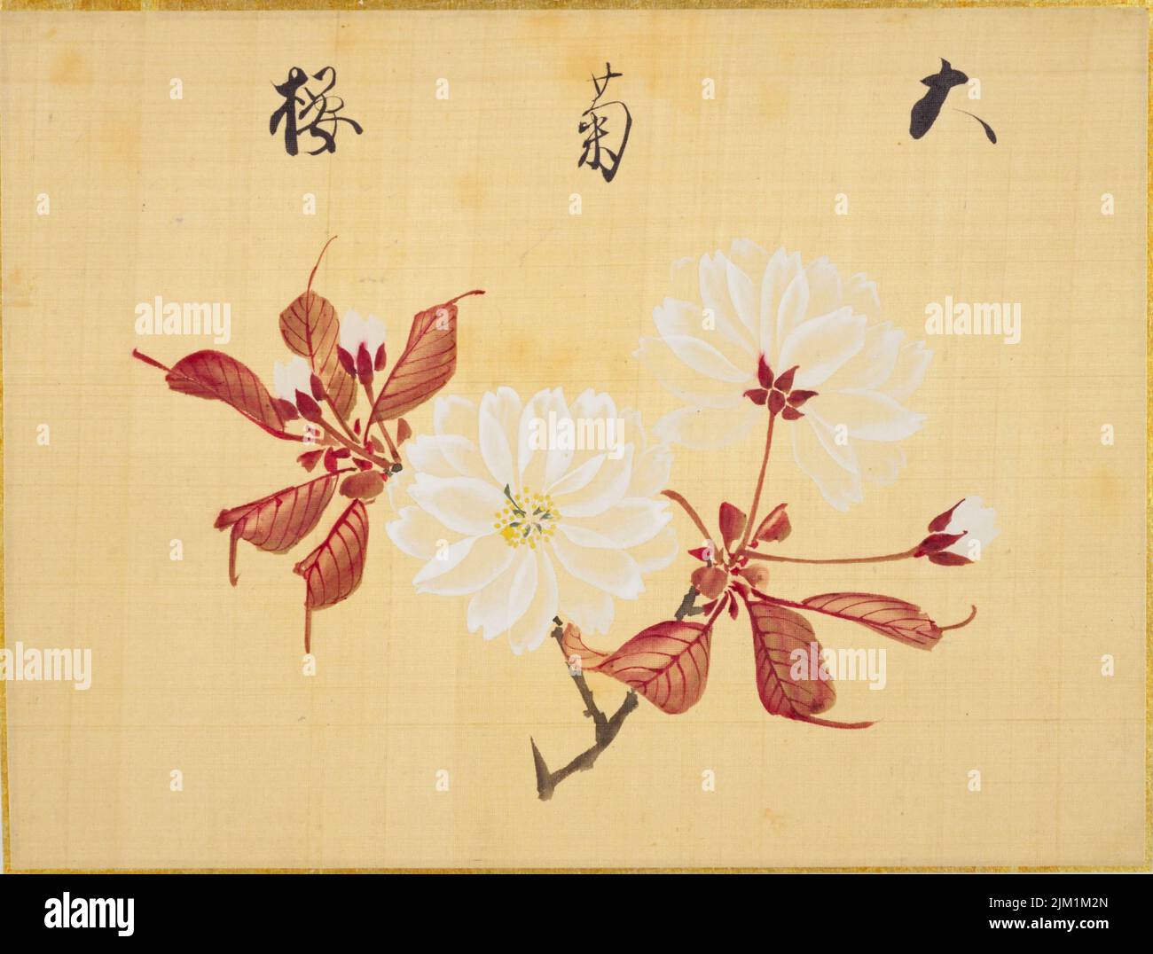 Konen sakamoto hi-res stock photography and images - Alamy