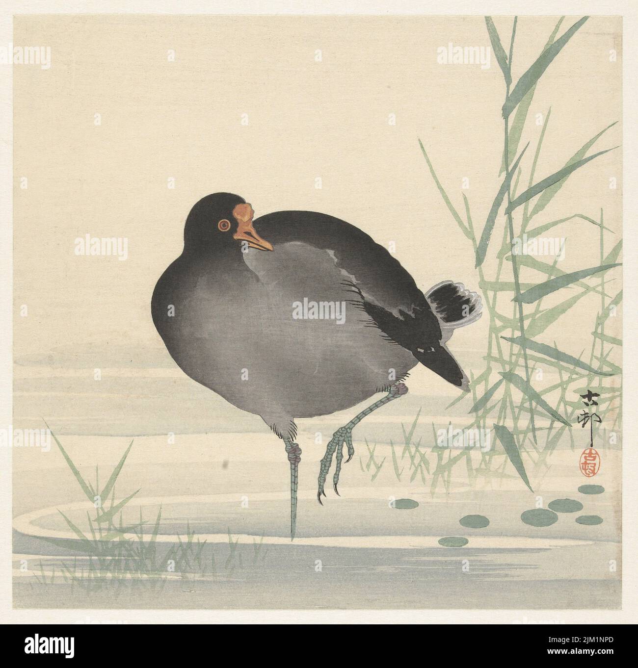 Koson ohara hi-res stock photography and images - Alamy