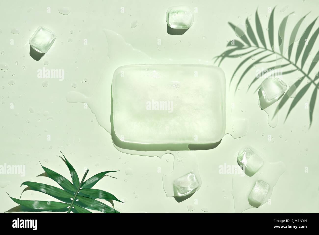 Summer mint green background with ice cubes and exotic palm leaves. Ice ...