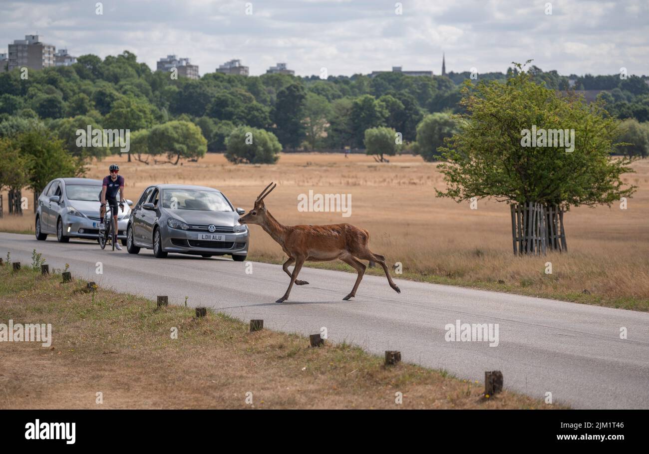 London drought 2022 hi-res stock photography and images - Alamy