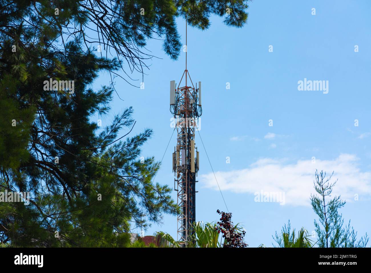 Communications tower with telephone and Wi-Fi antennas between tree ...