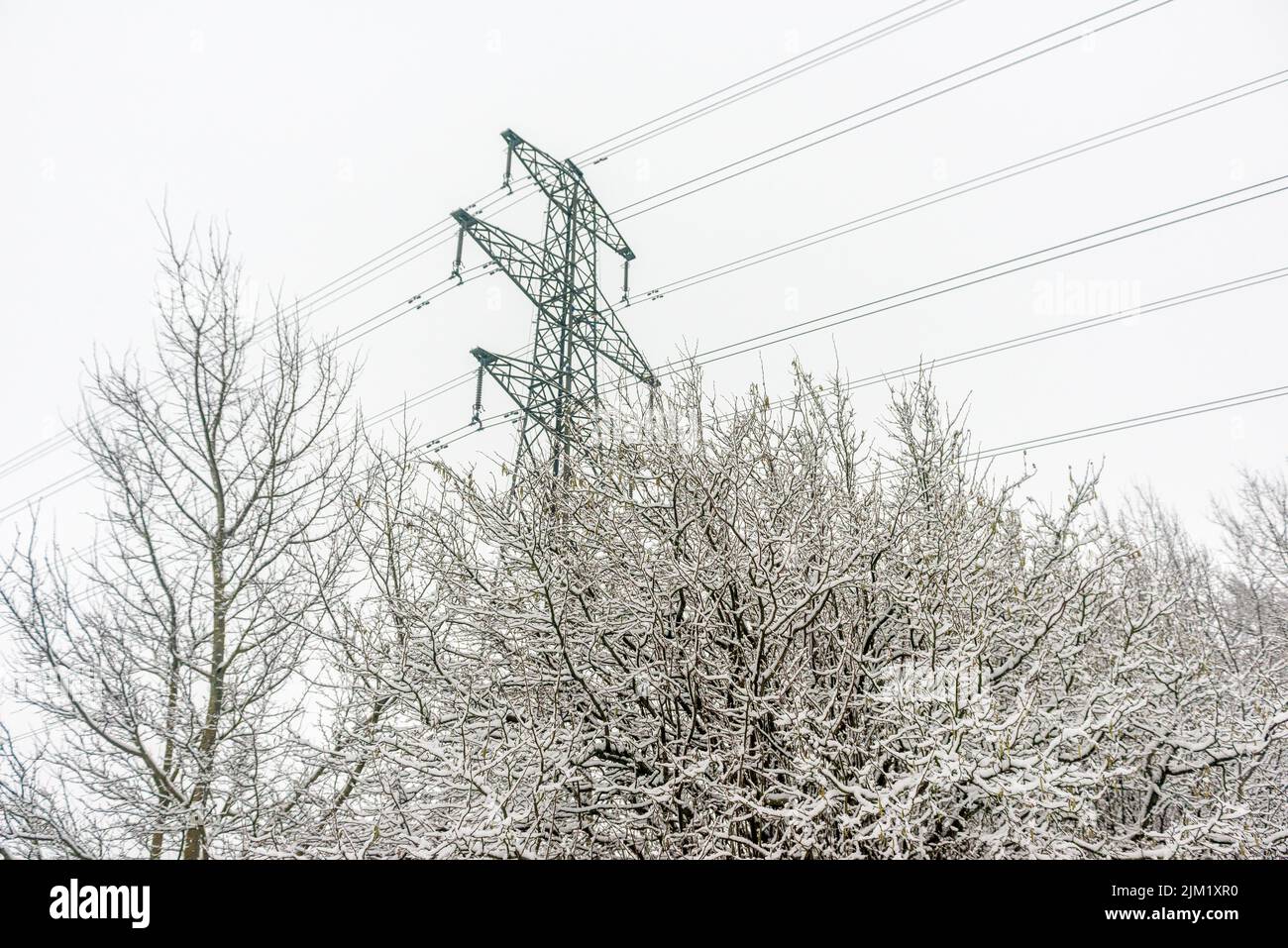 Electricity pylons in winter snow Stock Photo - Alamy