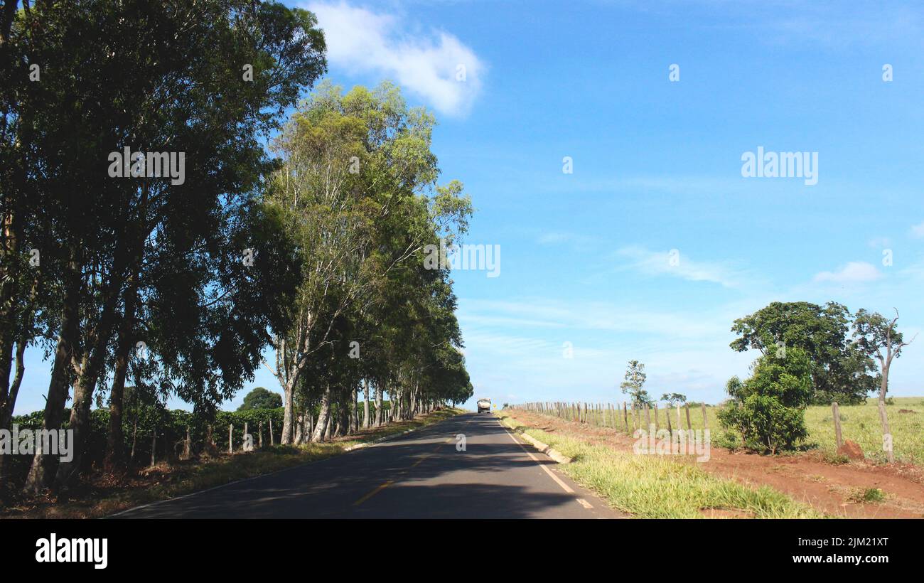 Asphalt road surrounded forest car hi-res stock photography and images ...