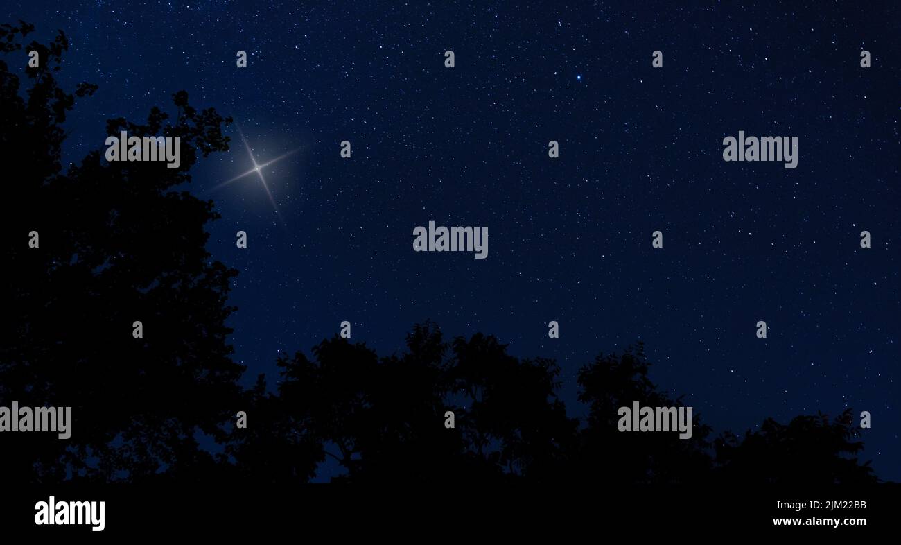 Dark treeline in North Carolina with the Christmas star rising and room ...