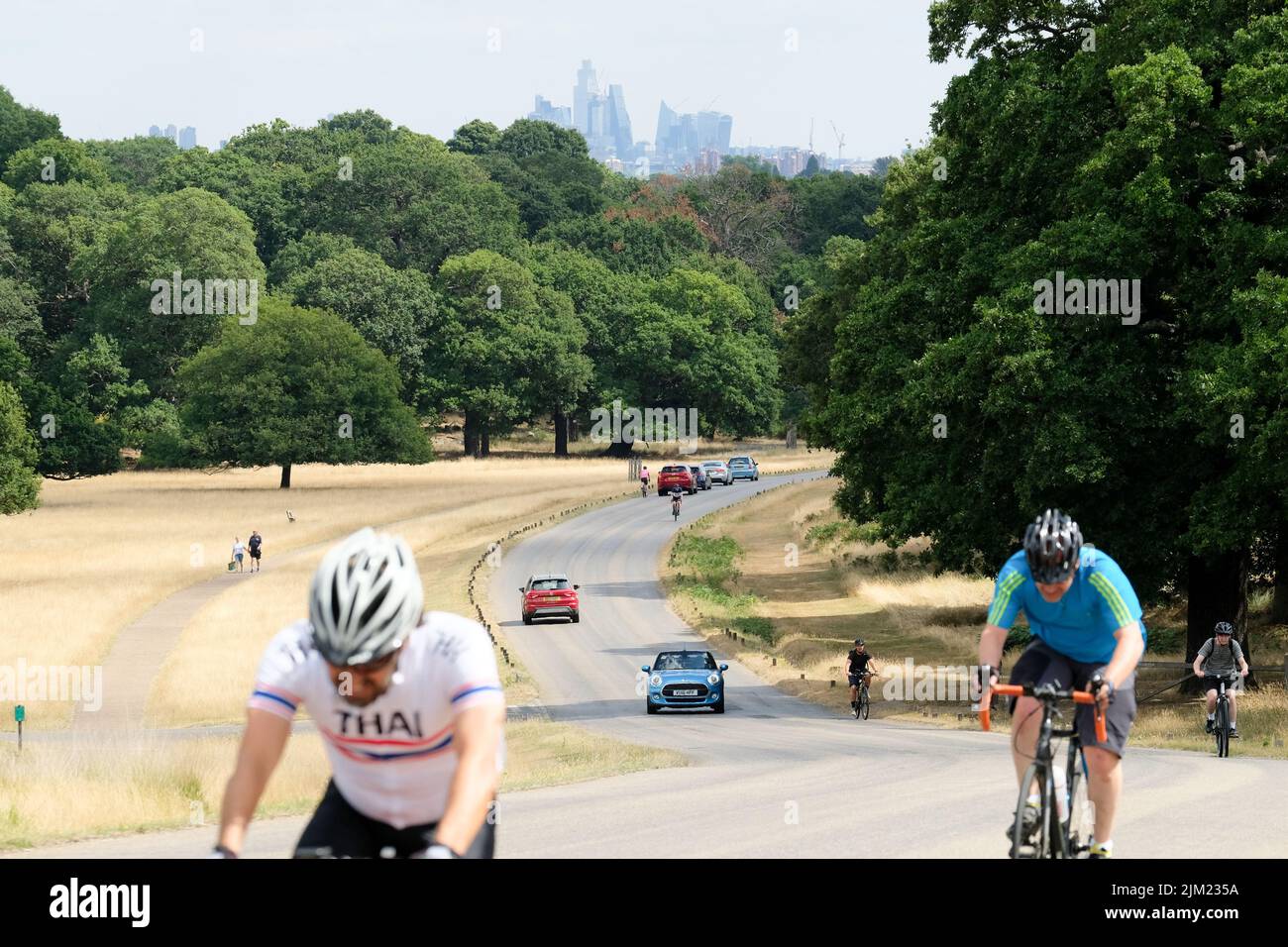 Richmond Park, London, UK. 4th Aug 2022. UK Weather: drought warnings ...