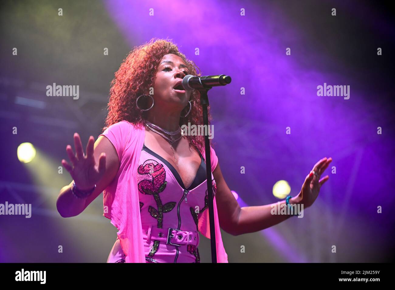 Kelis Rogers-Mora, commonly known as Kelis, performs her hit song ...