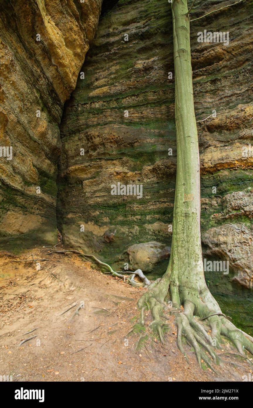 ***2013 FILE PHOTO*** The Bohemian Switzerland National Park (Ceske ...