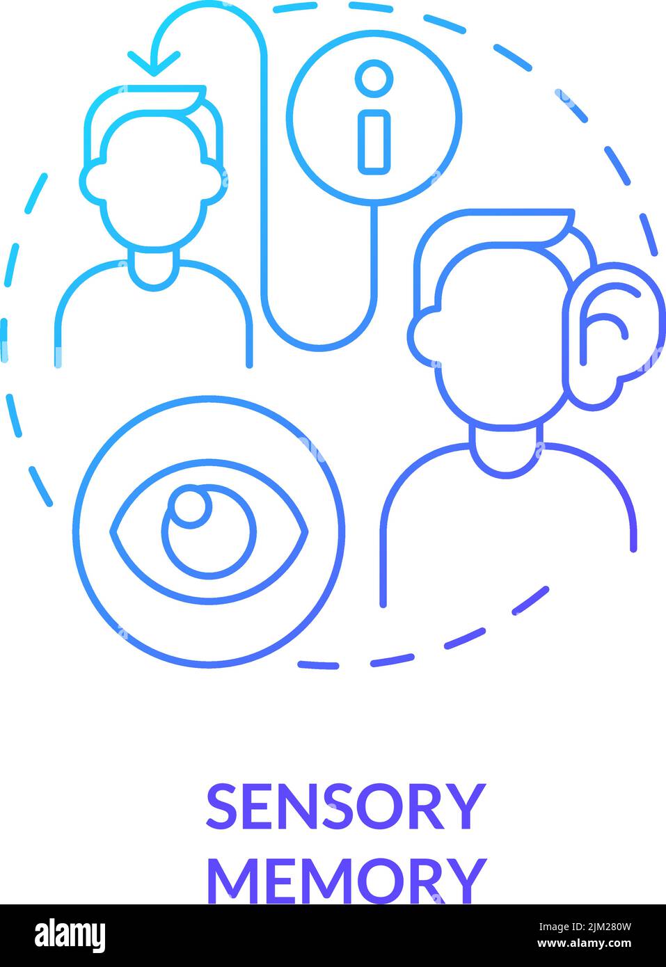 Sensory memory blue gradient concept icon Stock Vector Image & Art - Alamy