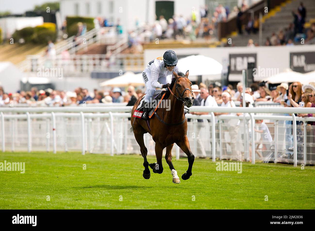 The Markel Magnolia Cup race at "Glorious Goodwood" - The Qatar ...