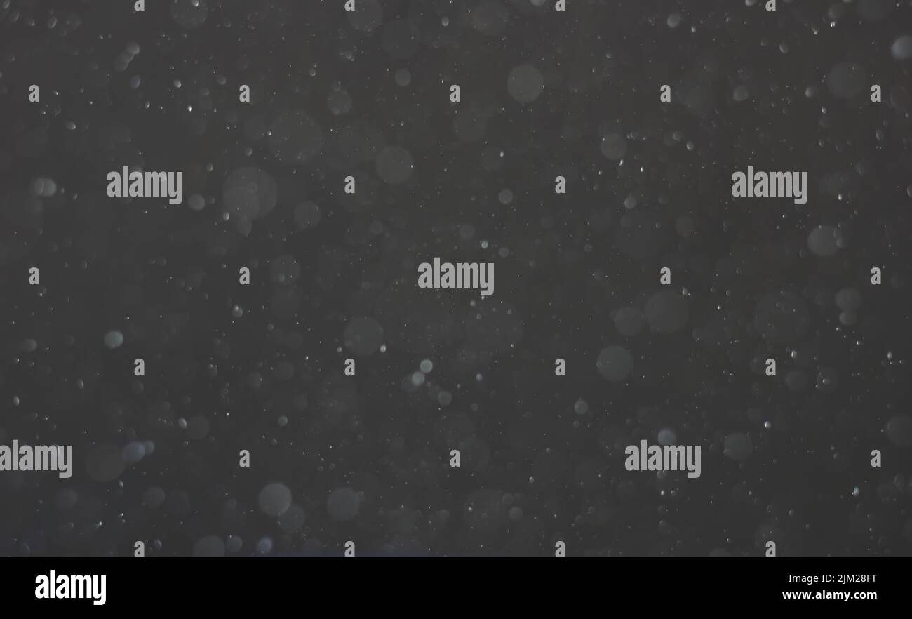 particles of falling snow natural background texture overlay Stock ...