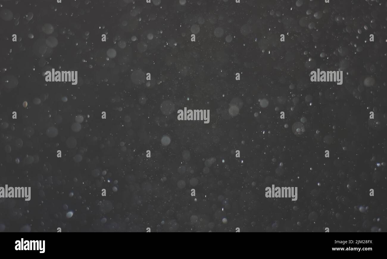 particles of falling snow natural background texture overlay Stock ...