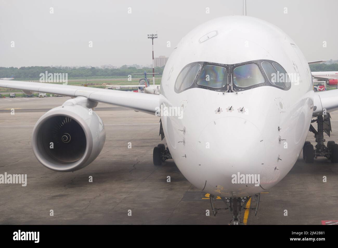 Detail shot front view airplane hi-res stock photography and images - Alamy