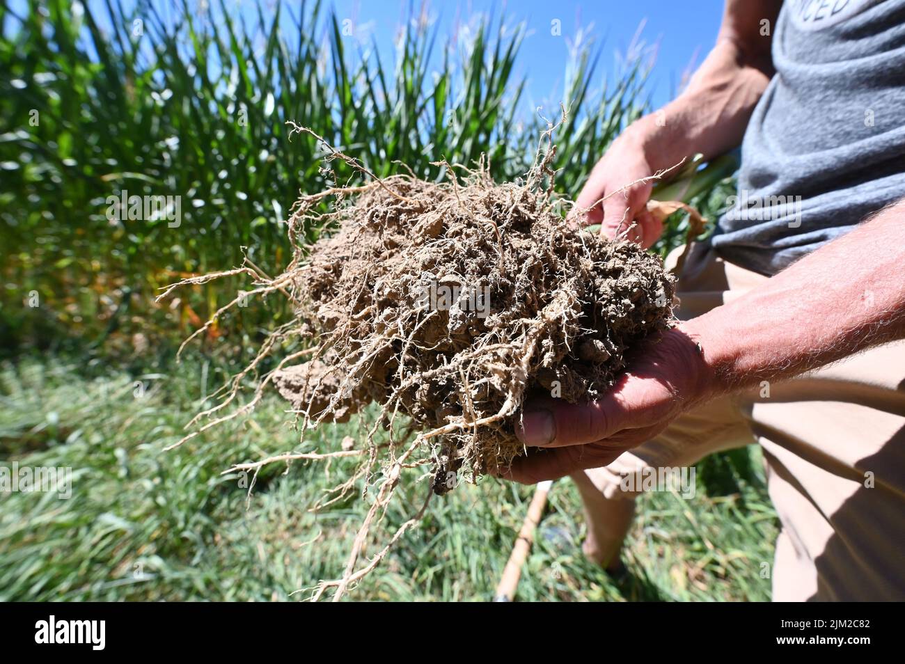 Humus rich soil hi-res stock photography and images - Alamy