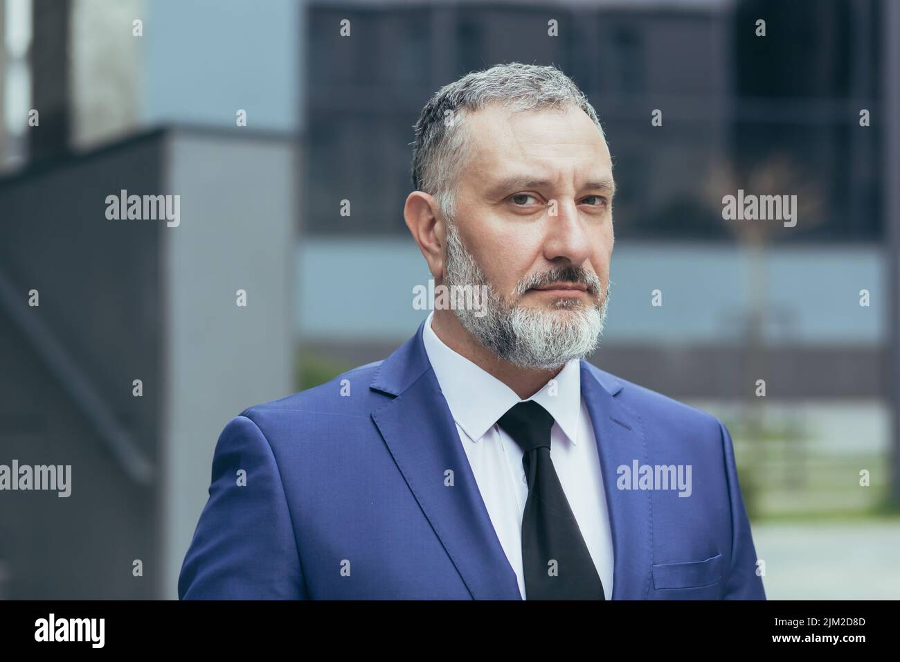 Close-up photo portrait of gray-haired successful businessman boss, man ...