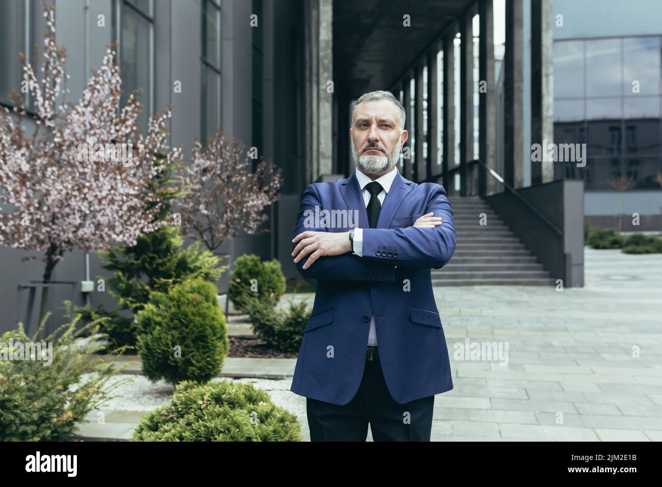 Portrait of successful thinking experienced senior businessman, gray ...