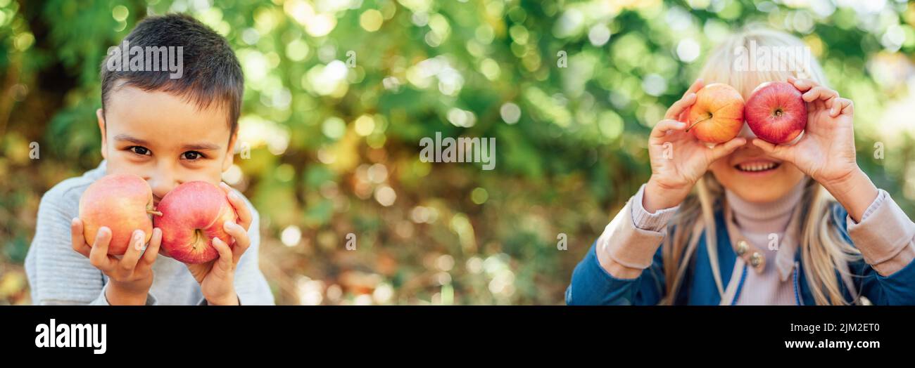 Children with Apple in Apple Orchard. Harvest Concept. Garden, Boy and ...