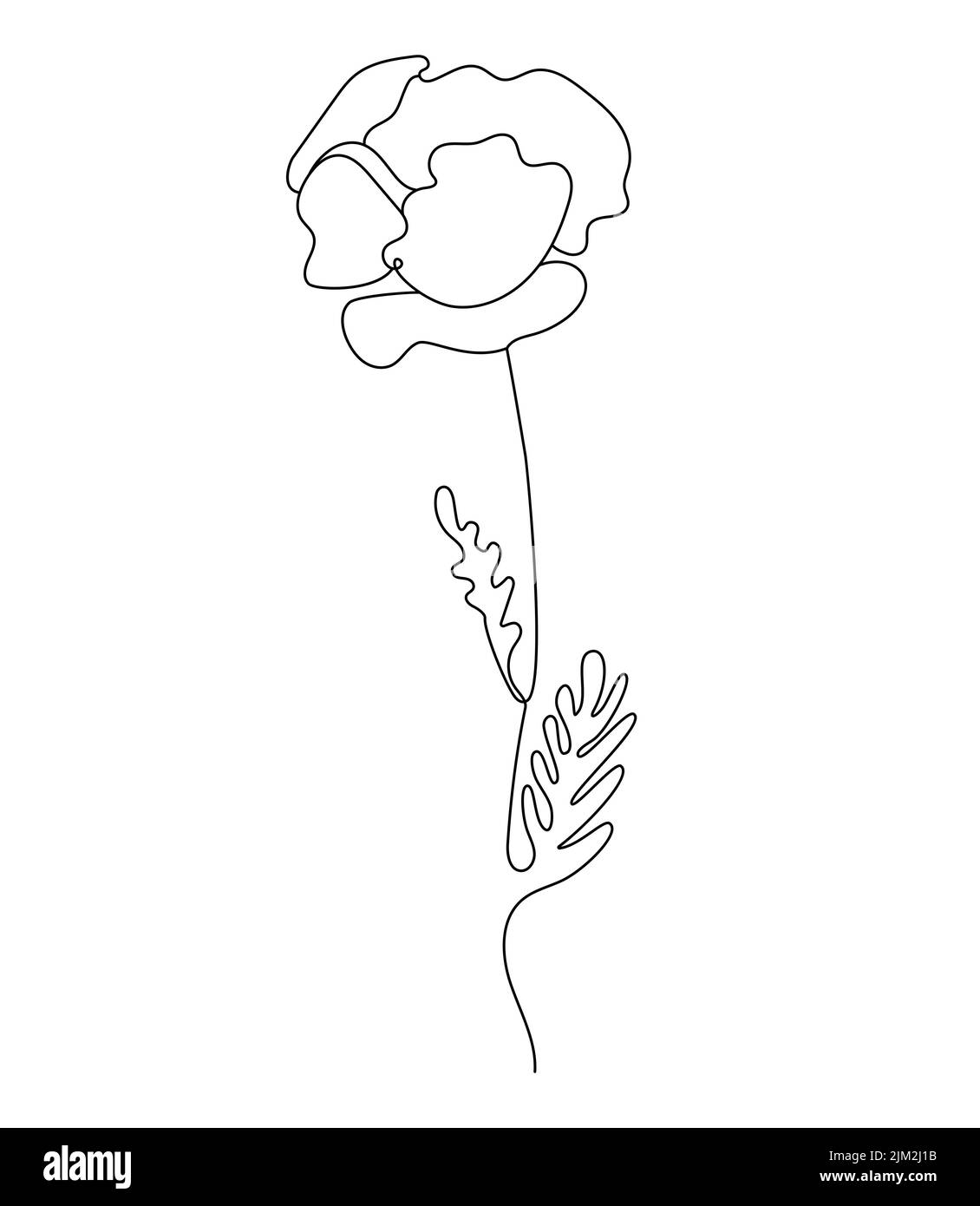 Poppy flower. Linear hand drawn minimalist drawing, continuous line ...