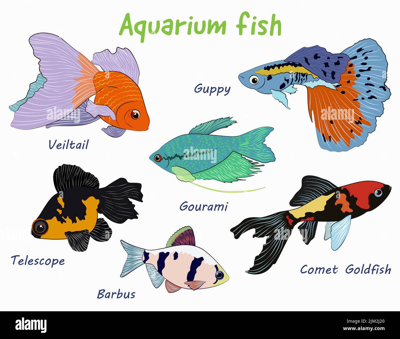 Cute cartoon collection of bright aquarium fish Stock Vector Image ...