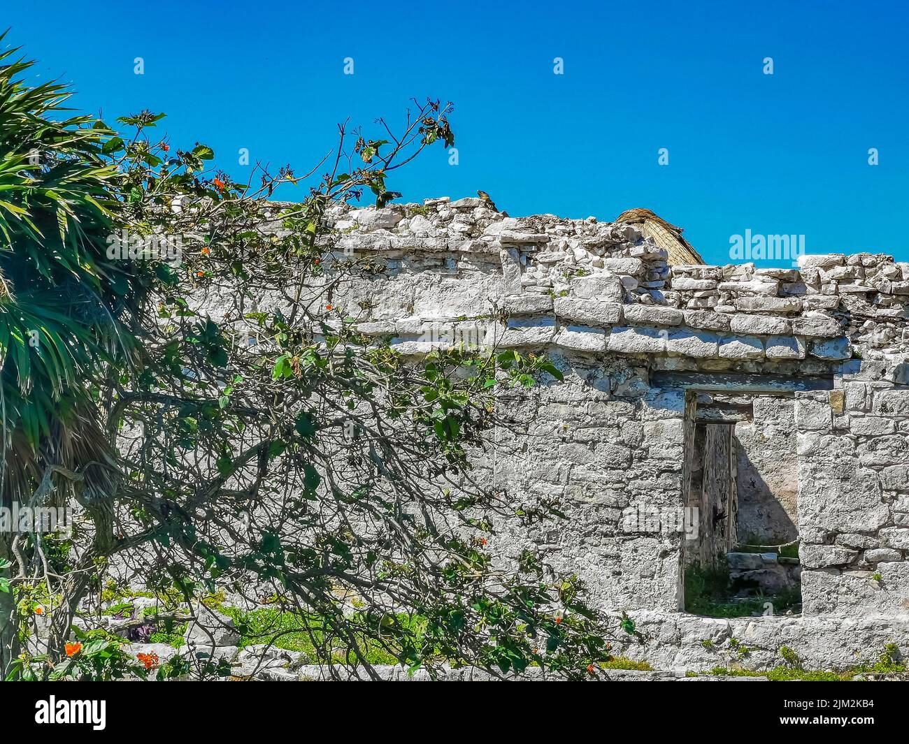 Ancient Tulum ruins Mayan site with temple ruins pyramids and artifacts ...
