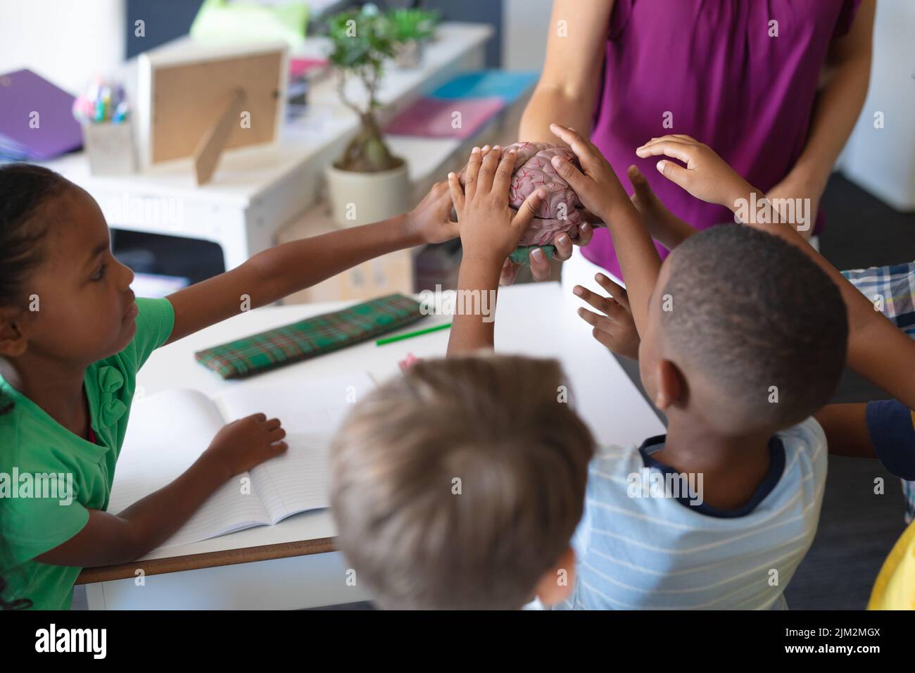 Multiracial elementary students touching brain model while caucasian ...