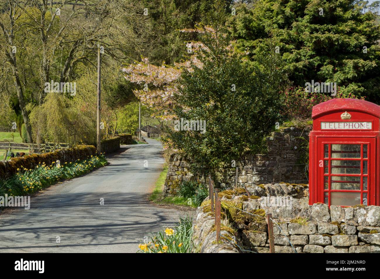 Iconic red village telephone box by the side of a country road 3-4 ...