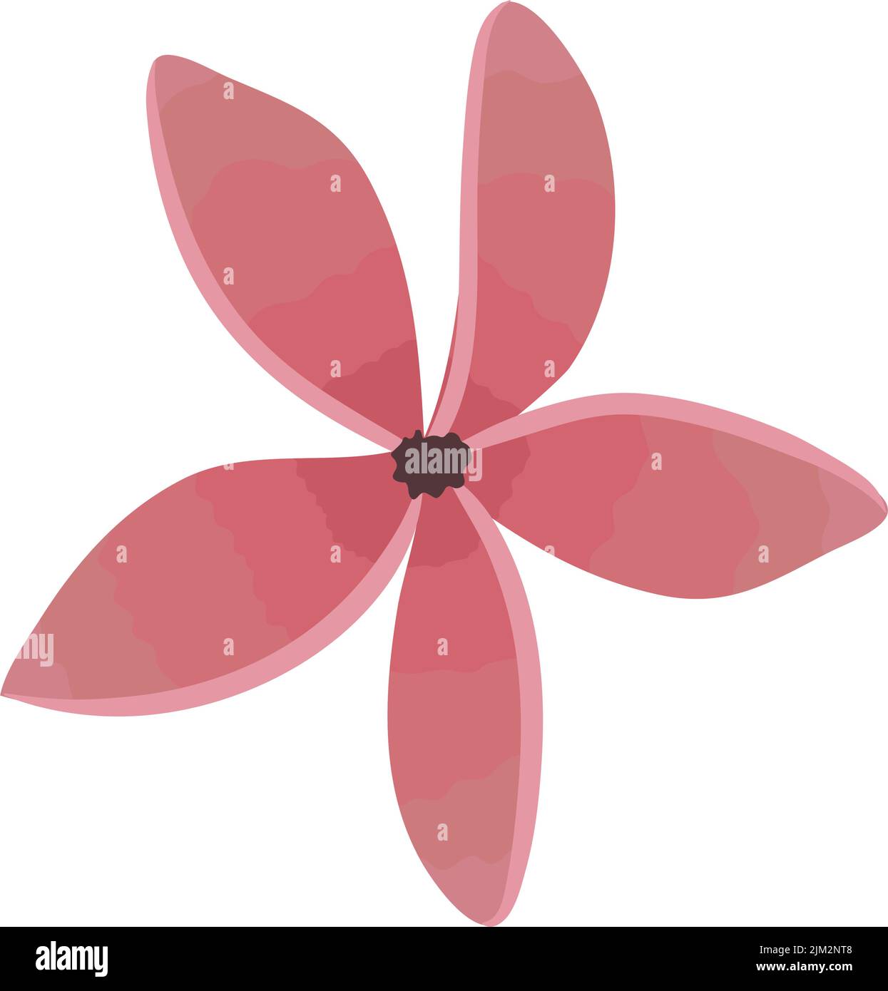 pink flower garden decoration Stock Vector Image & Art - Alamy