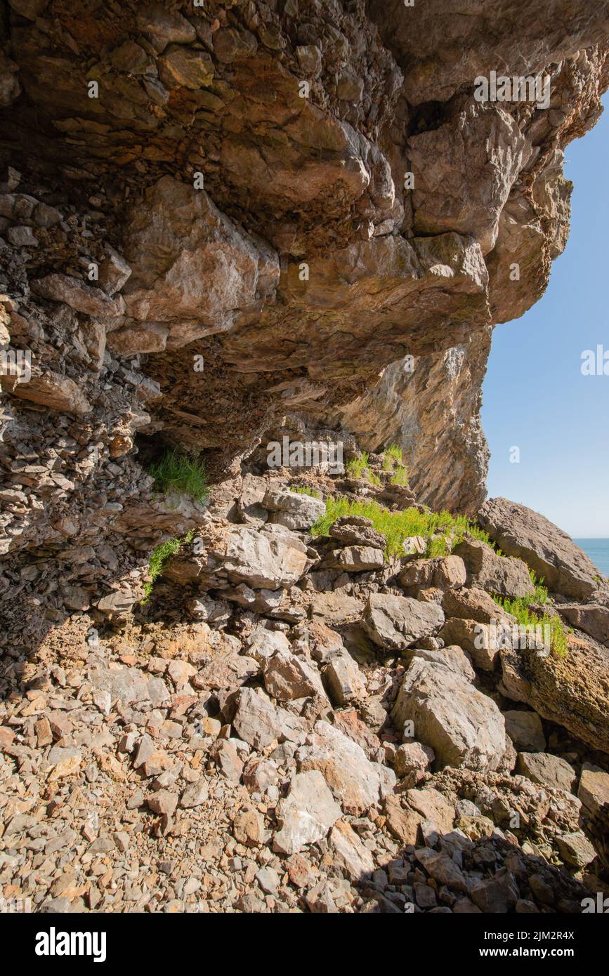 Entrance to Bacon hole bone cave, South Gower cliffs, Wales, UK Stock ...