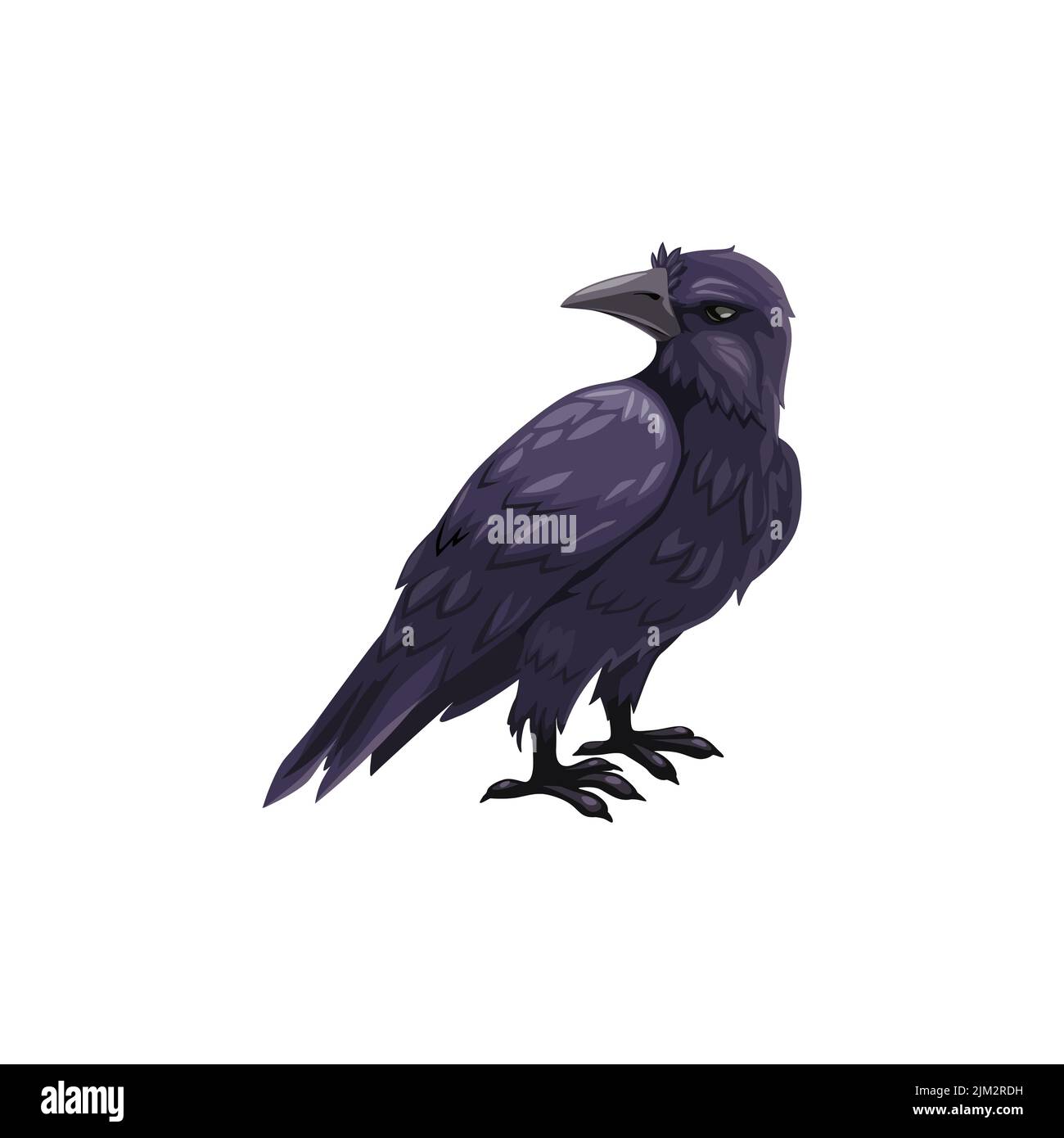 Raven Mascotte Clipart Raven Clipart Images | Free Download | PNG